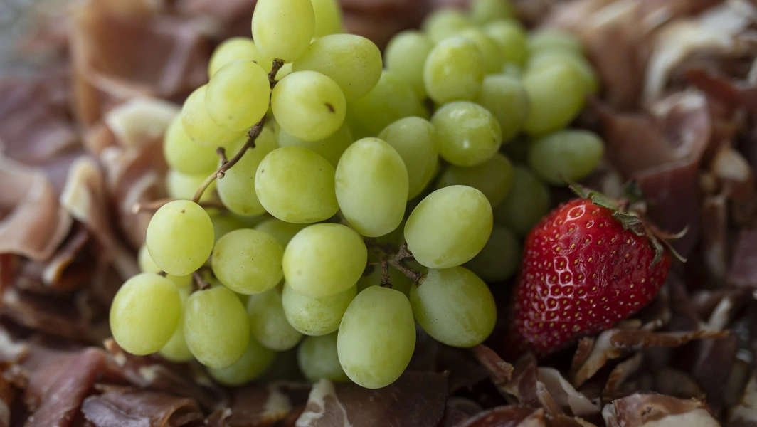 17 foods and treats dangerous for dogs