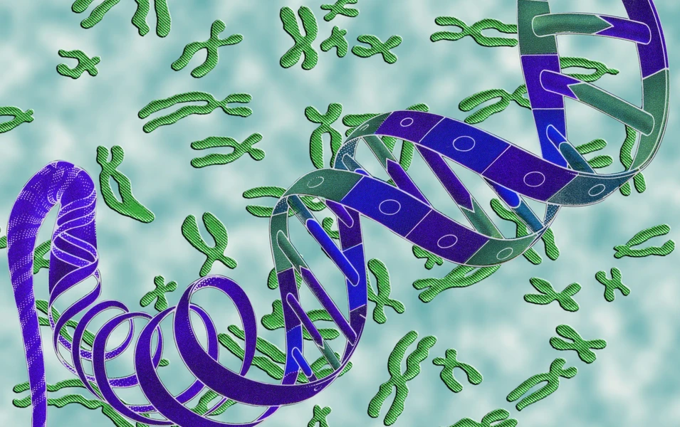 Study links school tracking to shift in genetic role in education