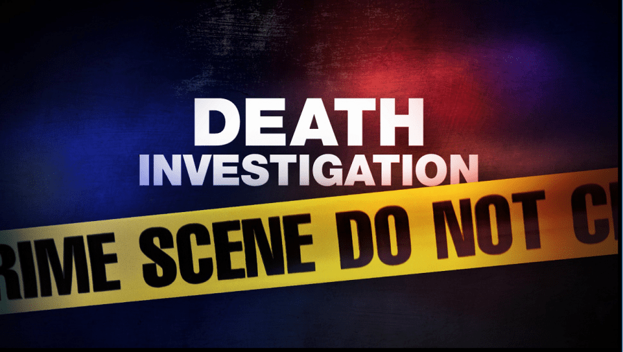 Two-year-old killed in dog attack, Rocky Mount police investigating