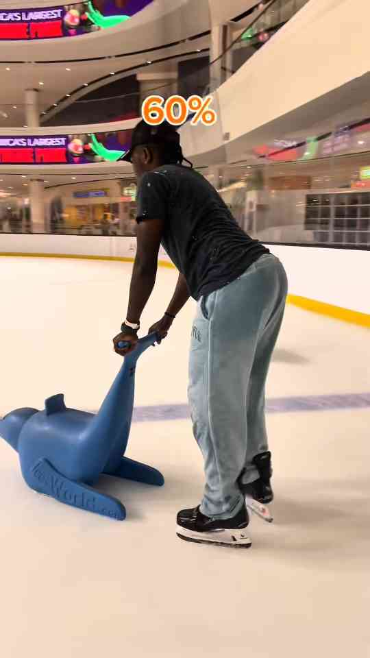 Discover your dolphin level in ice skating skills