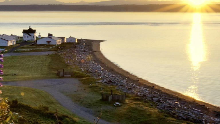 Deadly shellfish toxin closes harvesting in Hood Canal, Admiralty Inlet