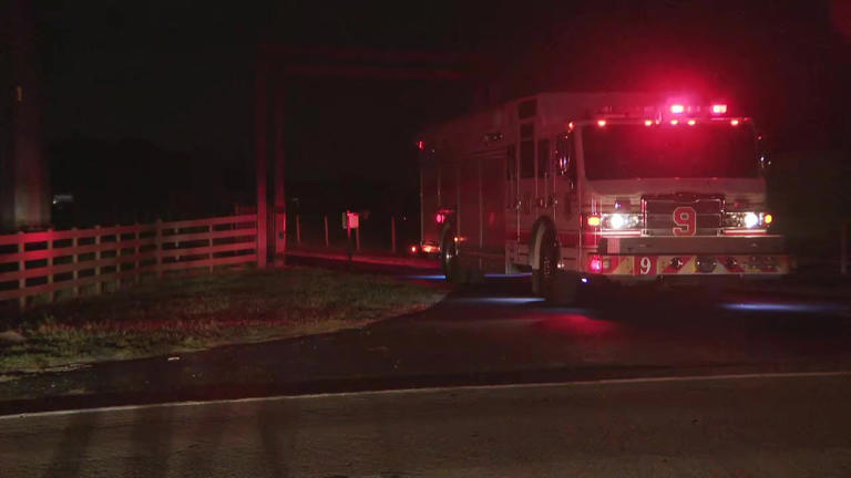 1 killed after aircraft crashes in Polk County cow pasture, wooded area ...