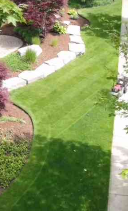 Ultimate lawn care routine for a healthy yard all year