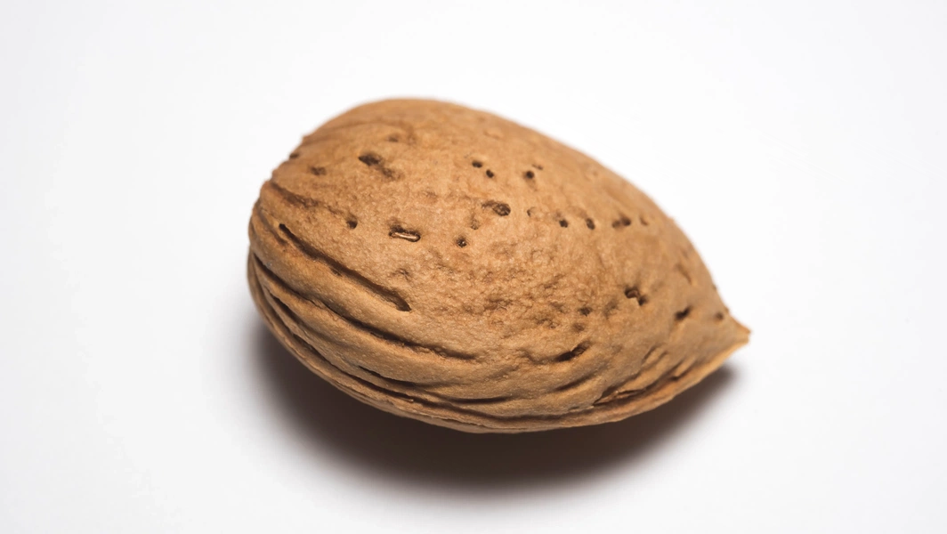 Dietitians rank almonds as the healthiest nut choice