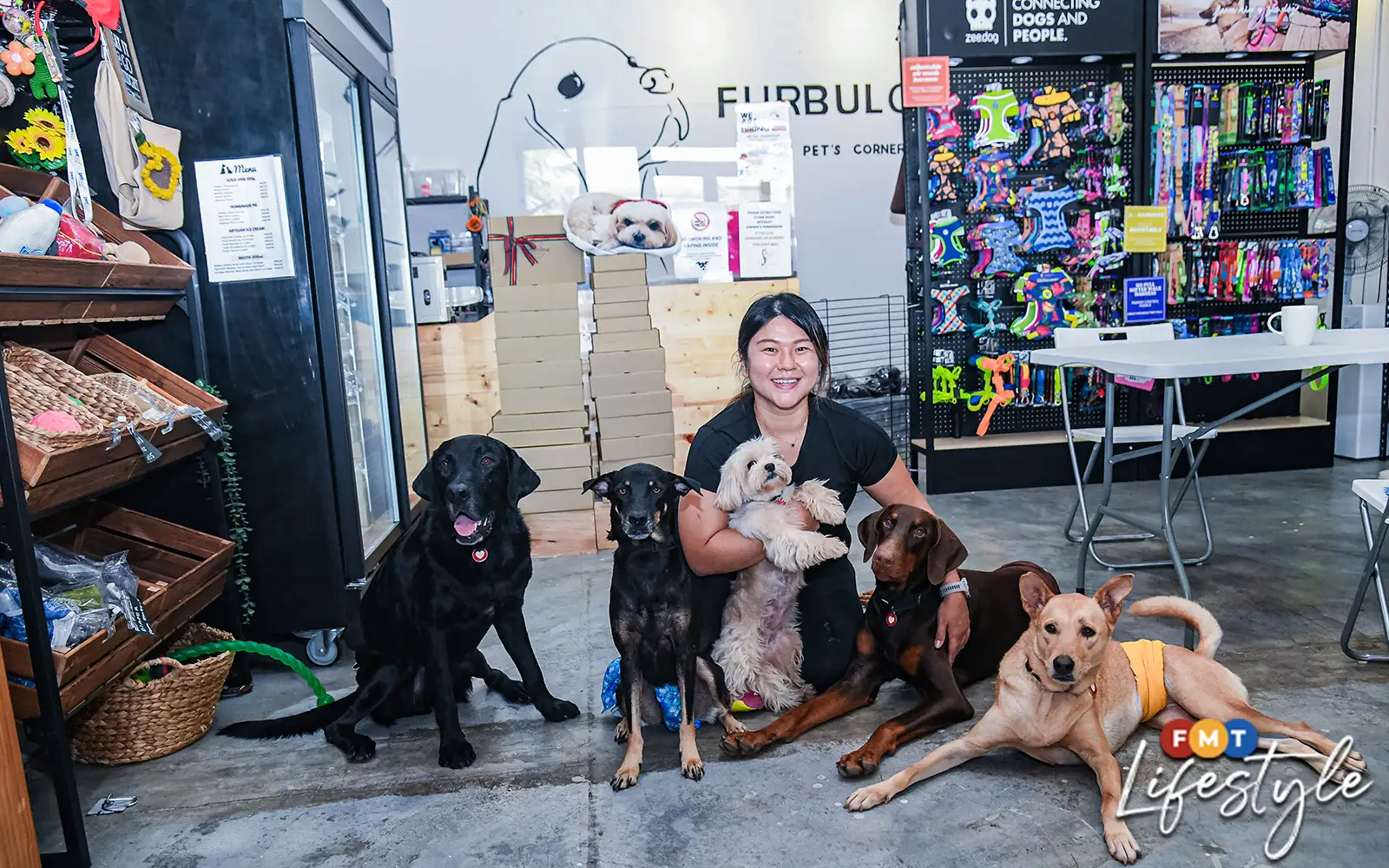 With her 5 rescue dogs, Aunty Kim em-barks on a 'furbulous' venture