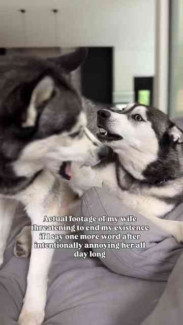 The beauty of simple love moments