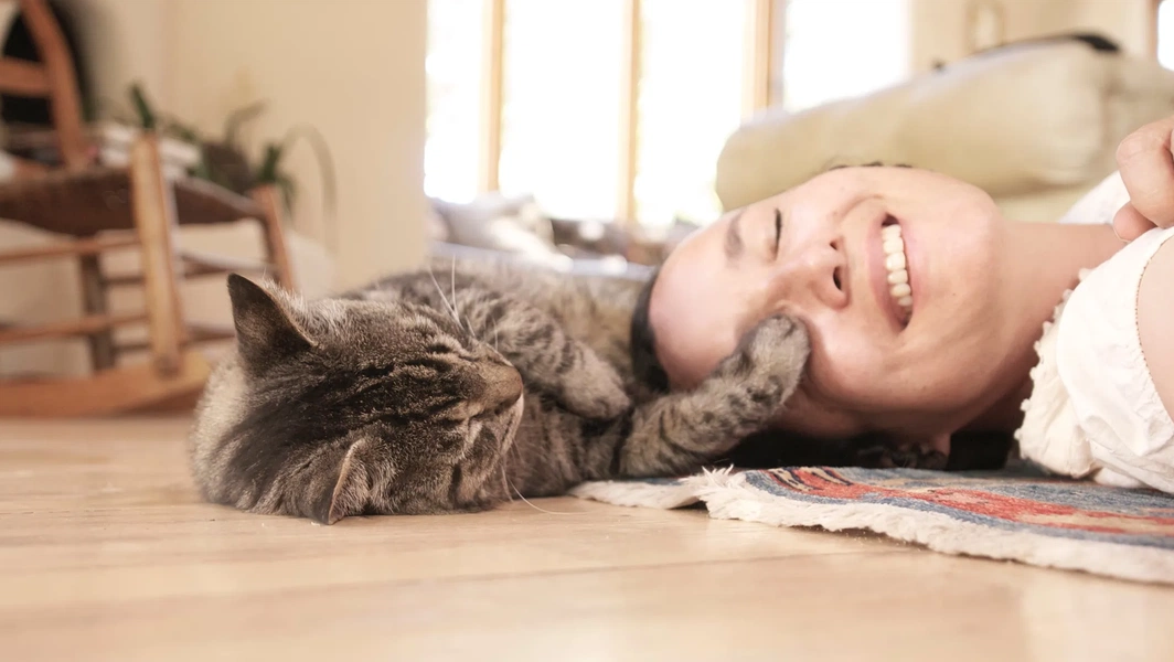 Why cats sleep close to their owners