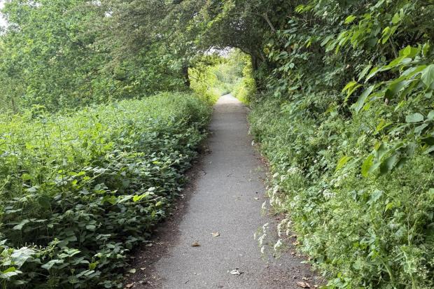 Resident slams council after popular walking trail deemed 'not a safe ...