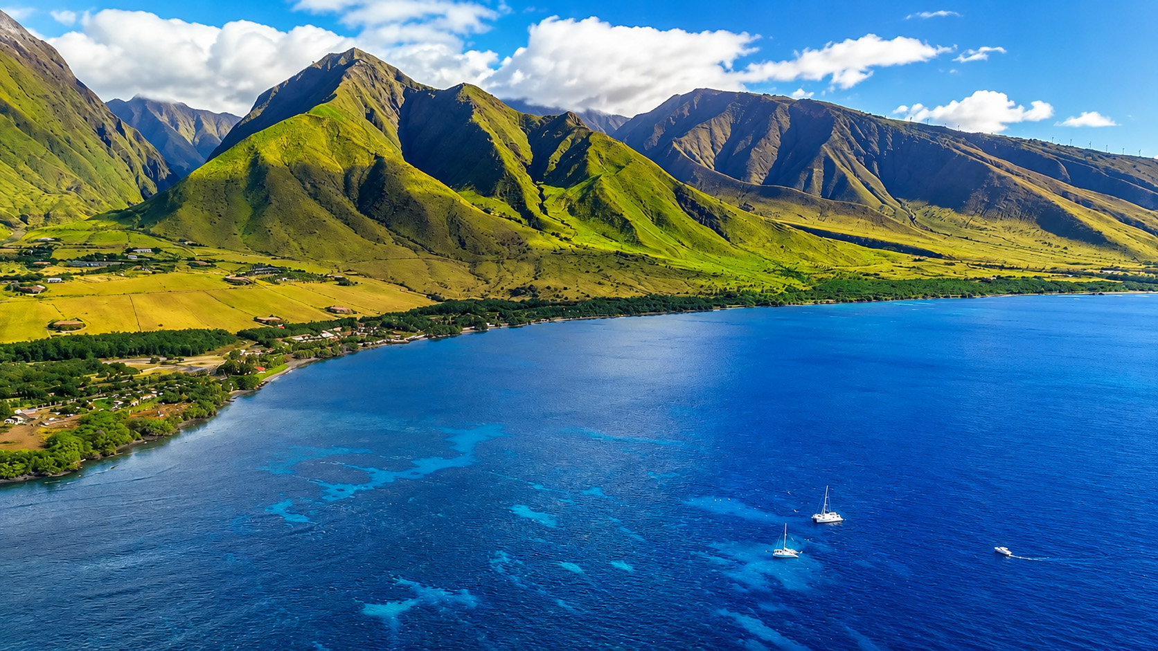 Olowalu’s Maui coastline hiding one of Hawaii’s most important reefs