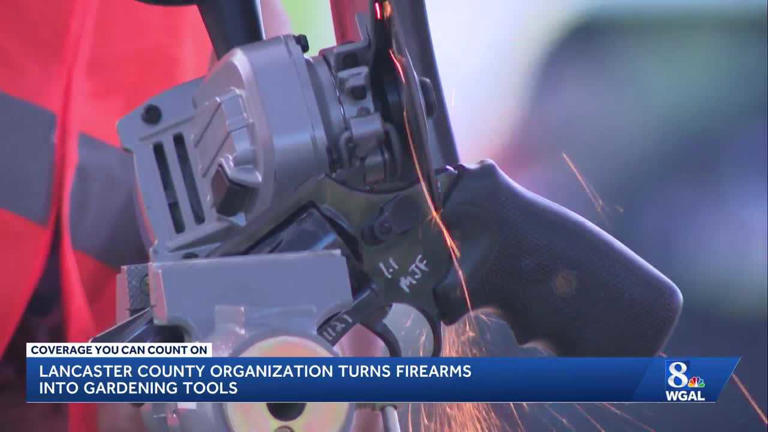 Safe disposal event | Unwanted firearms repurposed into artwork and ...