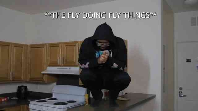 Flies when you open the door for them to leave 🤨🪰💀 completely ignoring ...