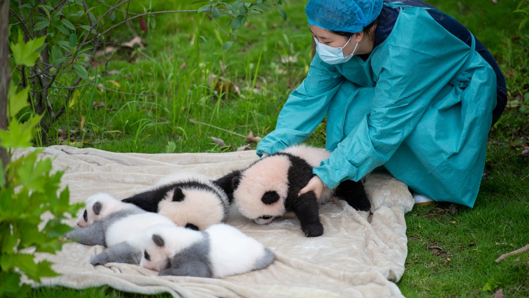 19 adorable baby animals and their early life journeys