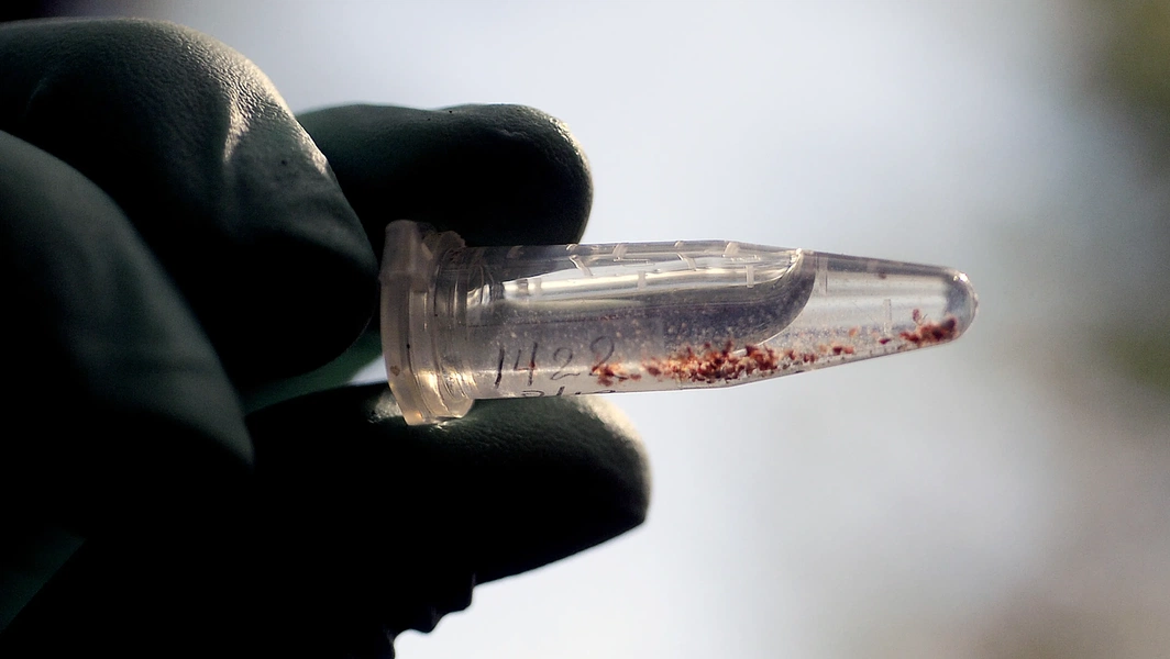 Winter ticks' impact on moose survival and populations