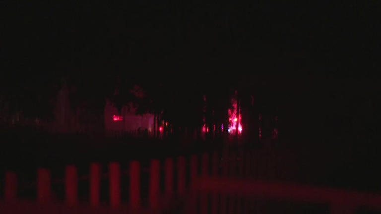 1 killed after aircraft crashes in Polk County cow pasture, wooded area ...