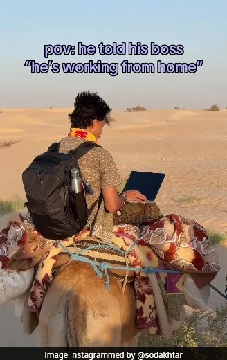 Man seen working on laptop while riding camel in Sahara Desert, leaves ...