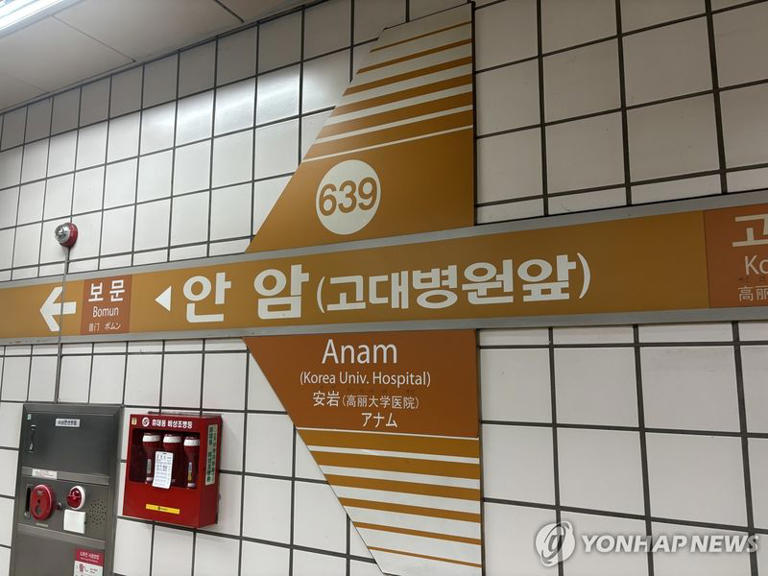 6호선 안암역 가스 유출…무정차 통과 종료 "인명 피해 없어"
