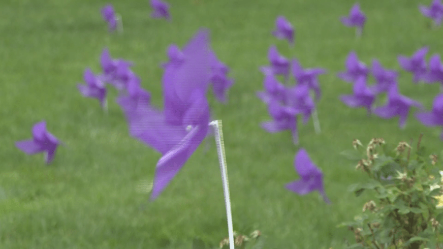 Pinwheels raise awareness of elder abuse
