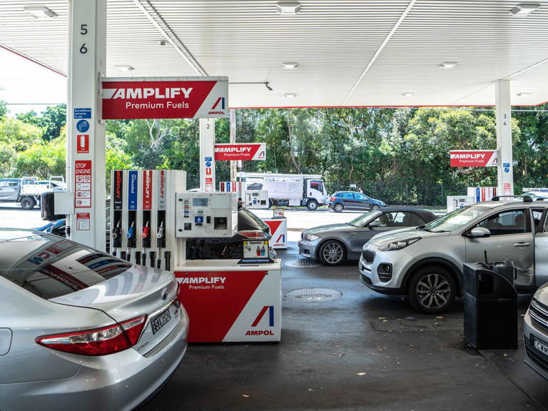 Canavan slams fuel tax cut as 'Band-Aid'