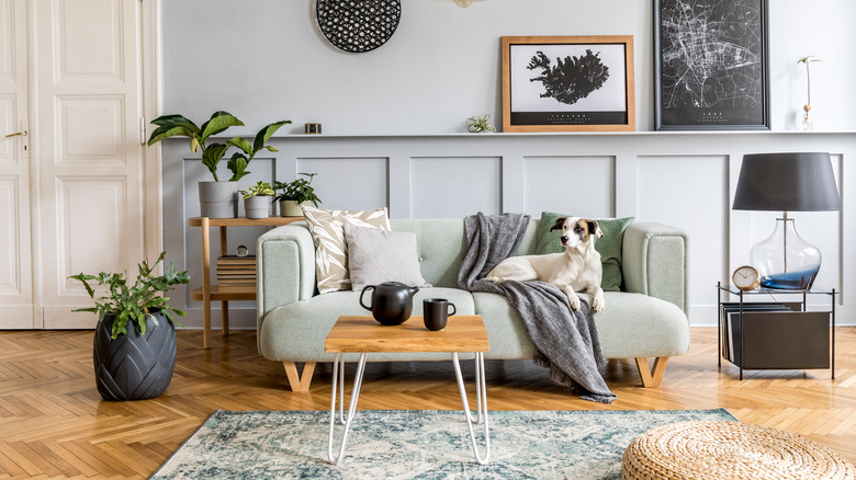 5 expert tips for arranging your dream living room