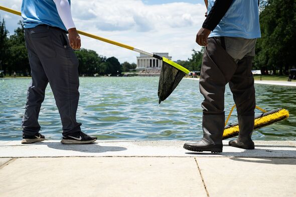 Trump's 'American flag blue' reflecting pool turns nasty green after ...