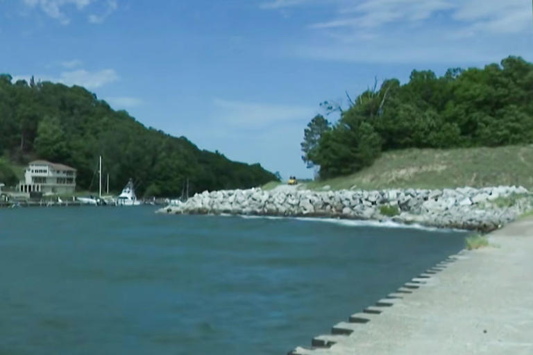 Man, 26, jumps into Lake Michigan to save drowning friend, 24. Both die ...