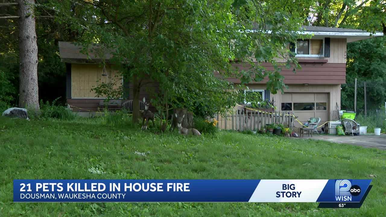 Dousman pet boarding business where 21 animals died in fire operated ...