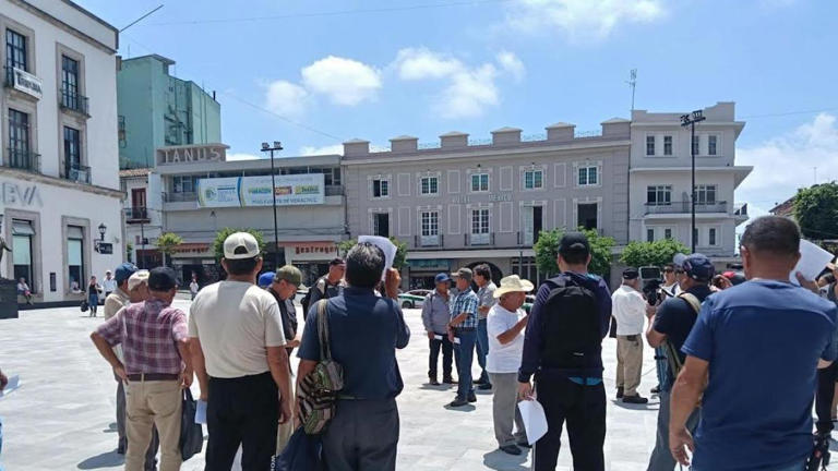 La roya desplomó la producción cafetalera en Coatepec, Veracruz