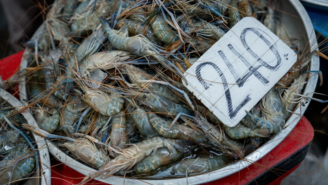 14 common shrimp mistakes to avoid