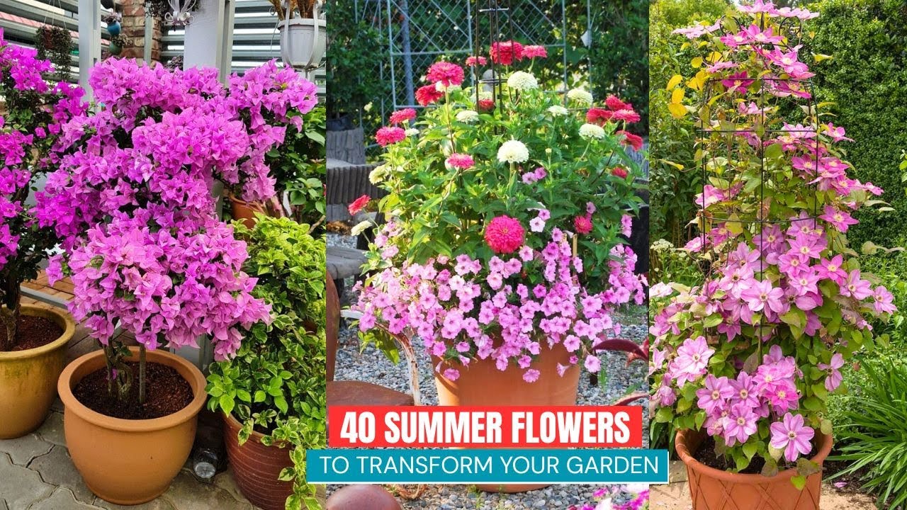40 beautiful summer flowers every gardener should grow