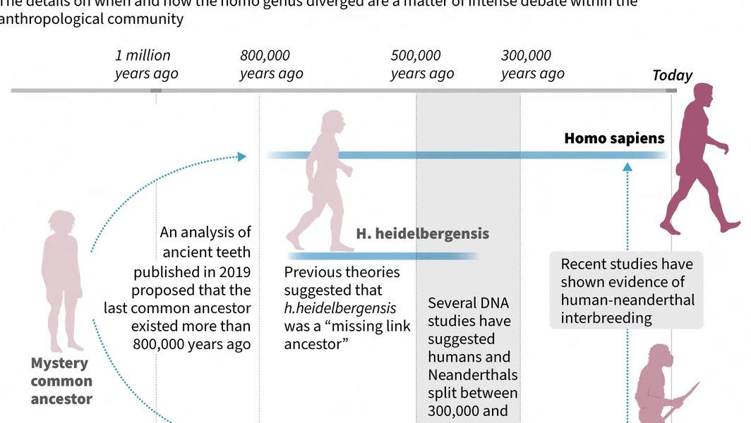 Ancient DNA and the peopling of Europe