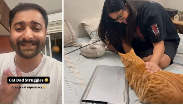 Cat vs partner? Viral video sparks debate over who really runs house