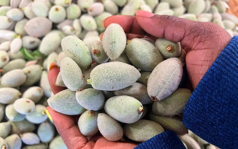 Dietitians rank almonds as the healthiest nut choice