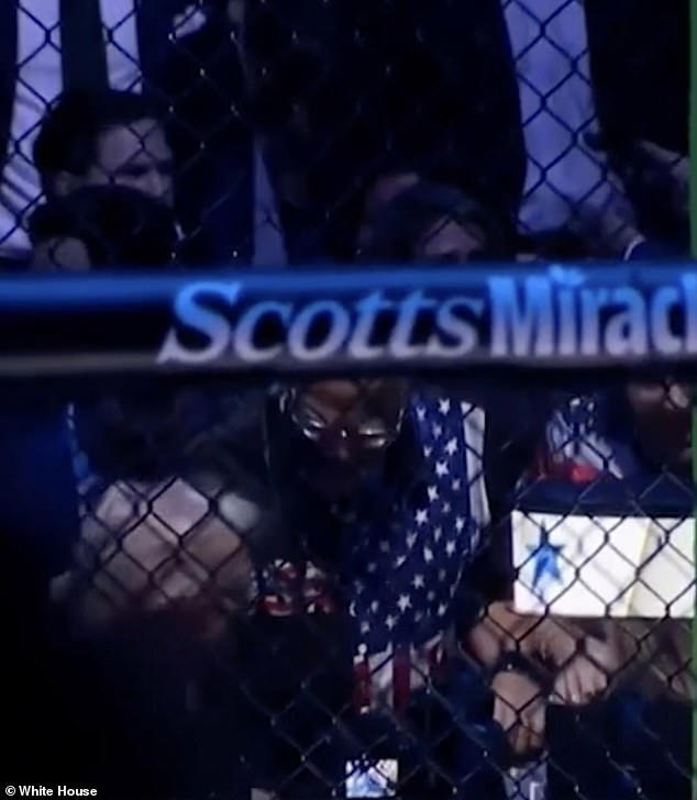 Pope Leo's MAGA brother spotted celebrating Trump's birthday at UFC 250 ...