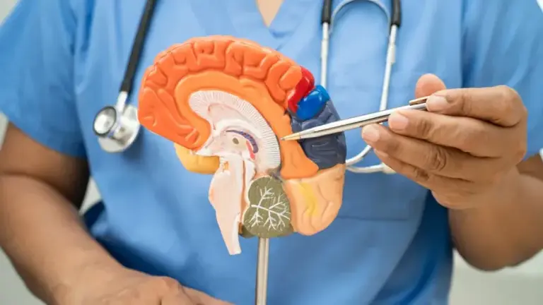 Minimally invasive surgery, HD imaging upgrades drive Taiwan’s ...