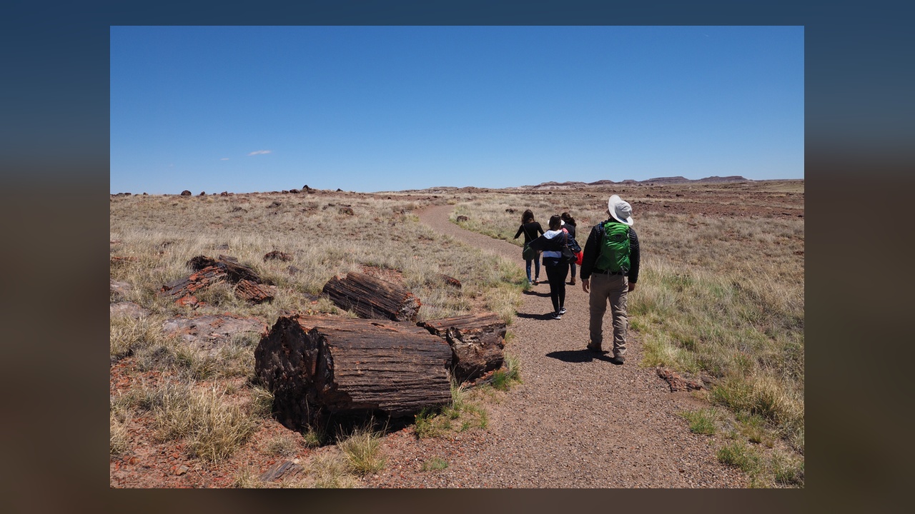 A single 28-mile road connects ancient ruins, fossil fields, and a ...