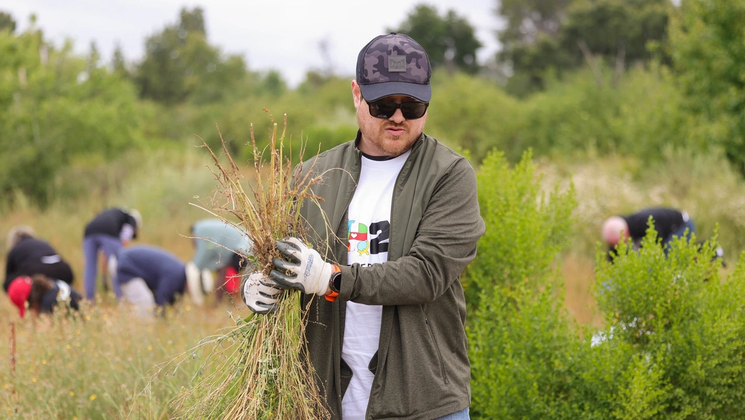 9 effective and natural weed control methods
