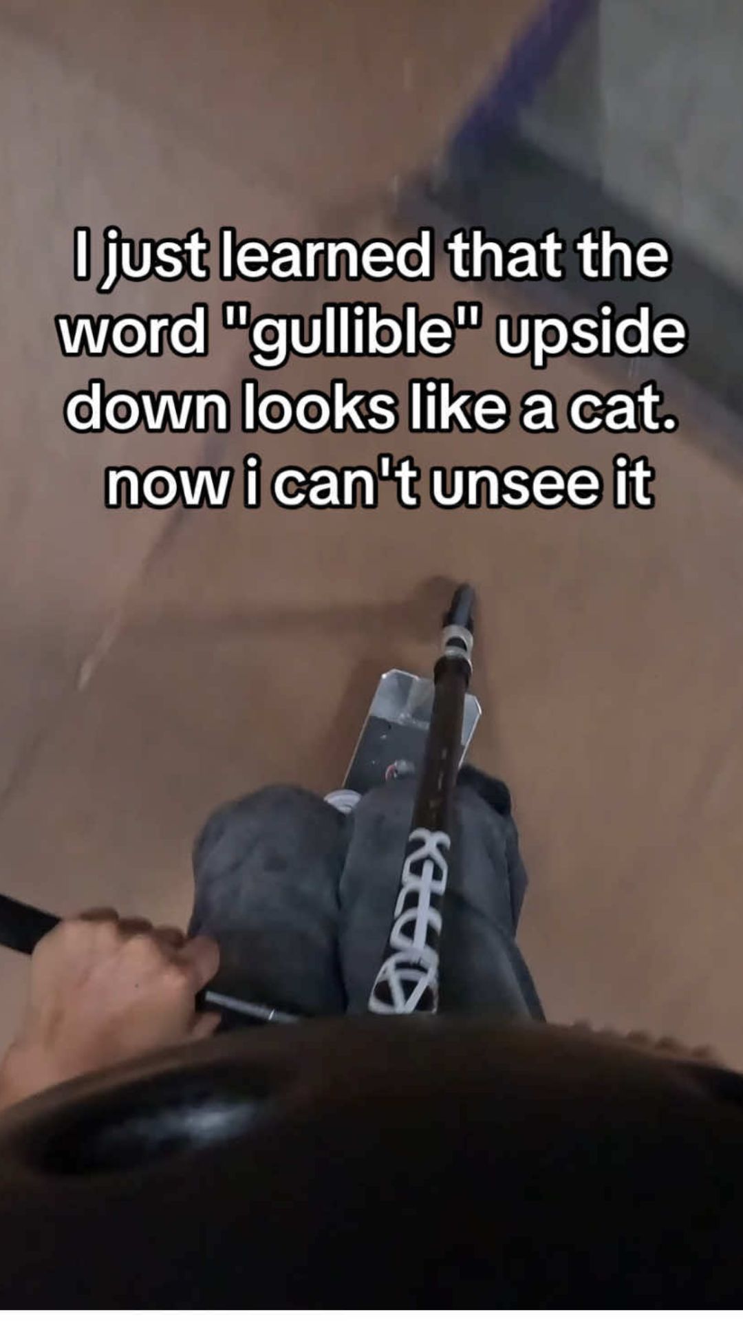 Scooter POV trick: Gullible looks like a cat meme moment