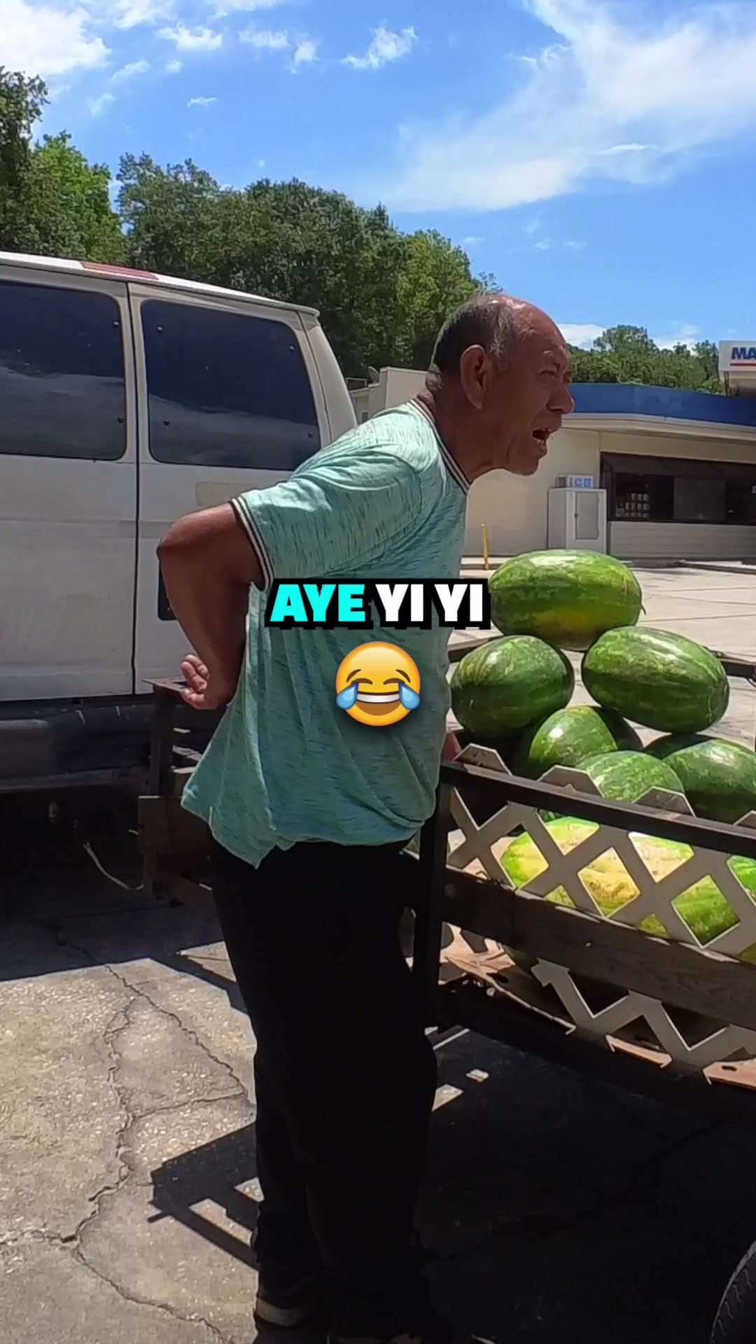 Watermelon carrying strain and daily kindness