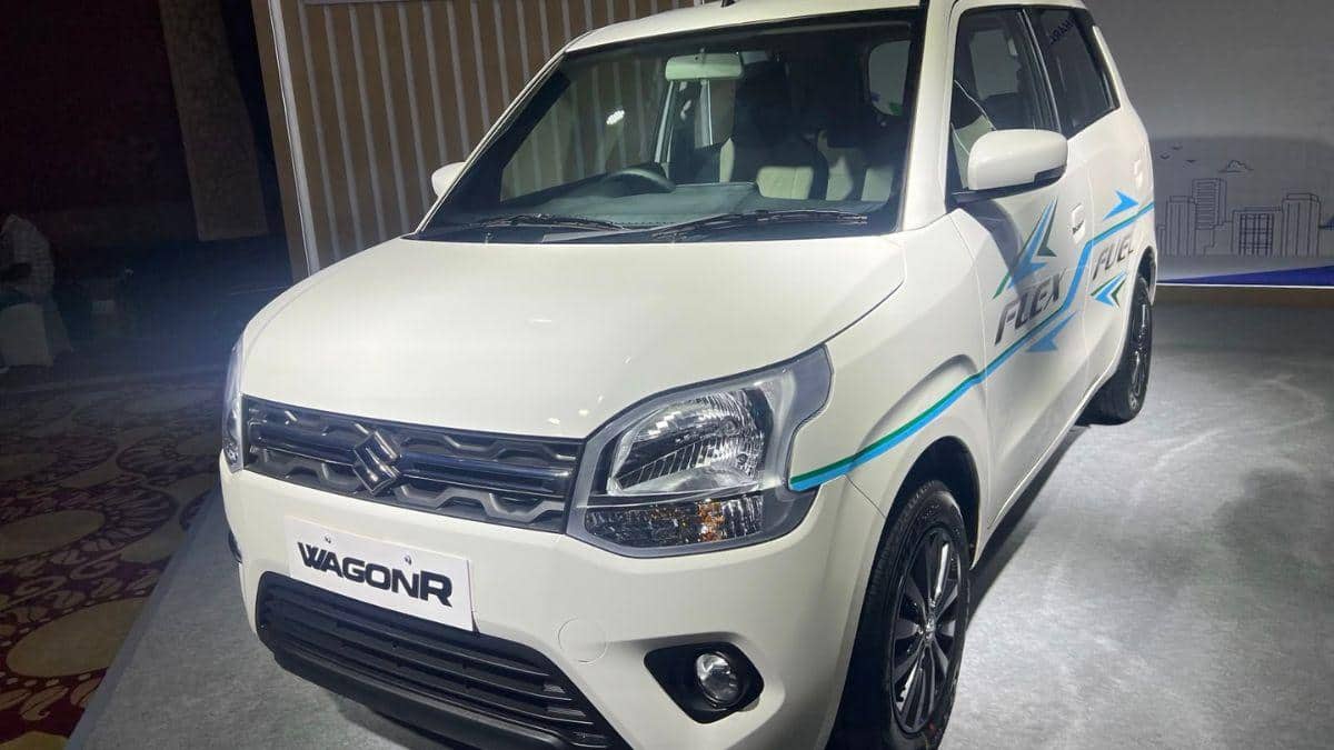 Maruti Wagon R flex fuel vs E20: Is the extra Rs 86,000 worth it?
