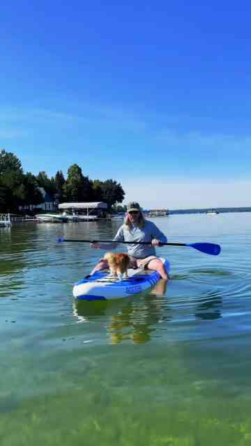 Paddleboarding cat gets a tiny life jacket after adventure