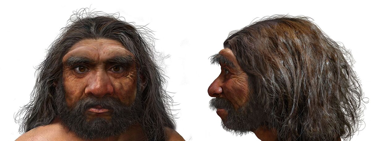Ground breaking archaeological discovery unveils new species of ‘dragon ...