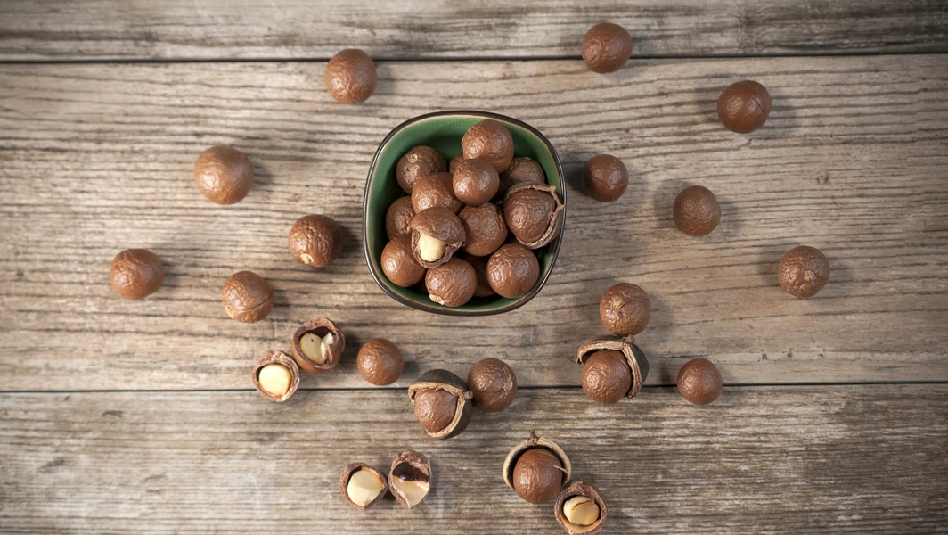 15 common foods that can poison dogs