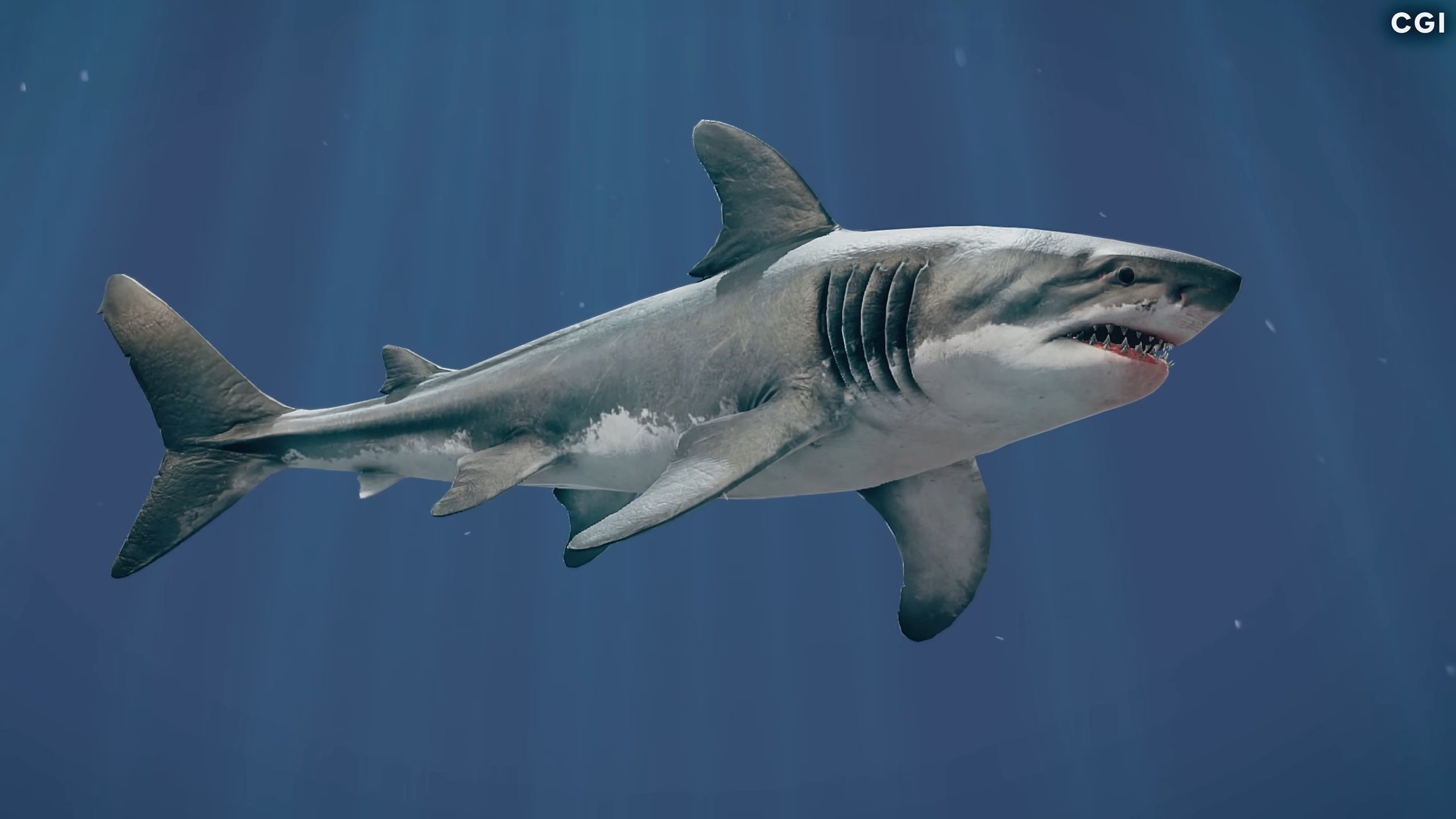 A 12-foot baby shark was born a killer - then its species took over the sea