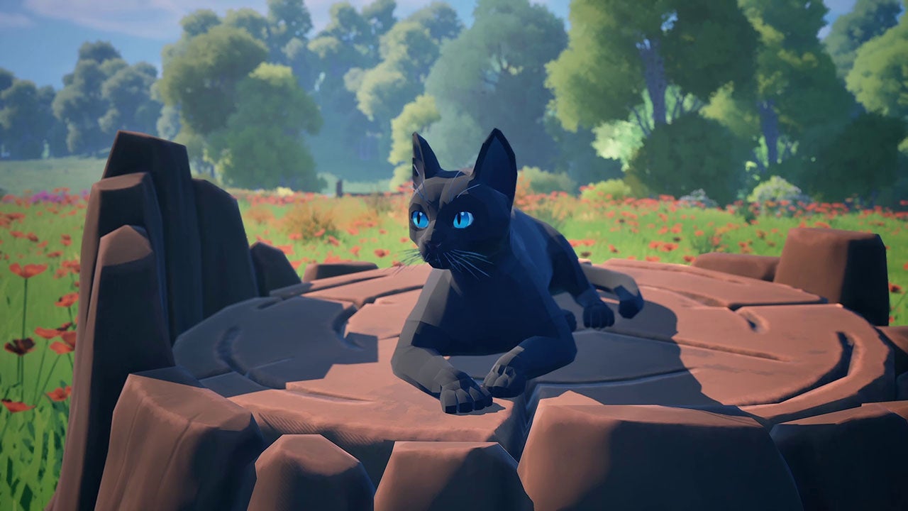 Cat a Photo - Official Trailer