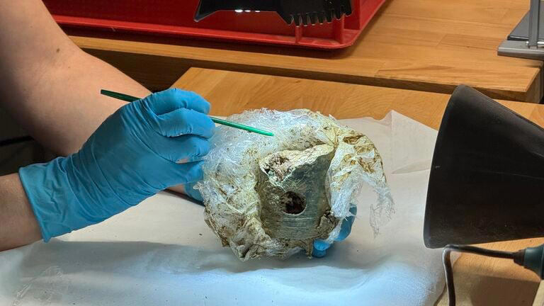 Iron Age Celtic chariot, weapons, gold unearthed in Germany