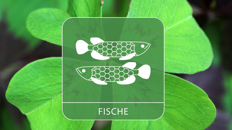 Die Glückstage im Juli 2026 für das Sternzeichen Fische