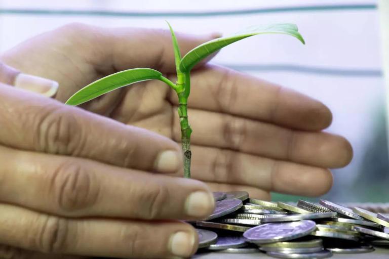Sunil Singhania-backed Abakkus Small Cap Fund adds 3 new stocks ...