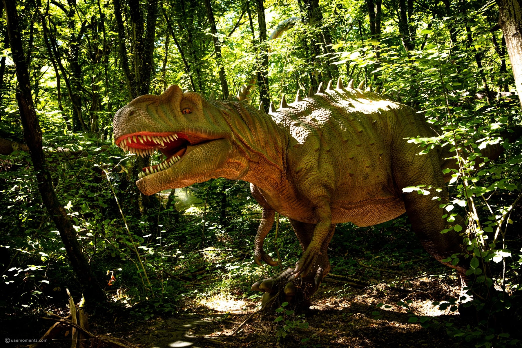 Major dinosaur myths that science later proved wrong
