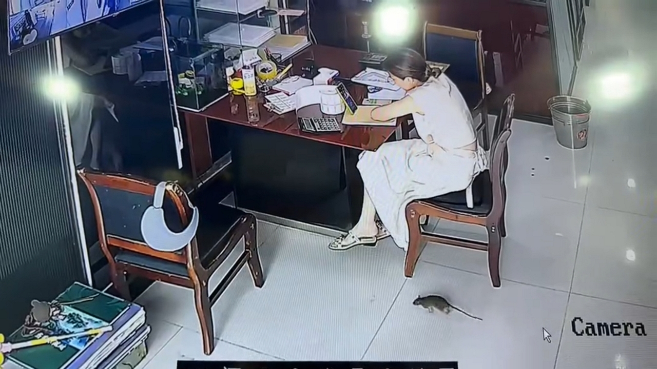 Woman freaks out as rat climbs her foot in China