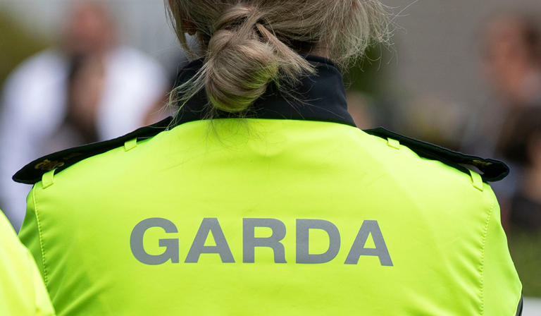 Gardaí investigate death of woman in her 80s in County Waterford